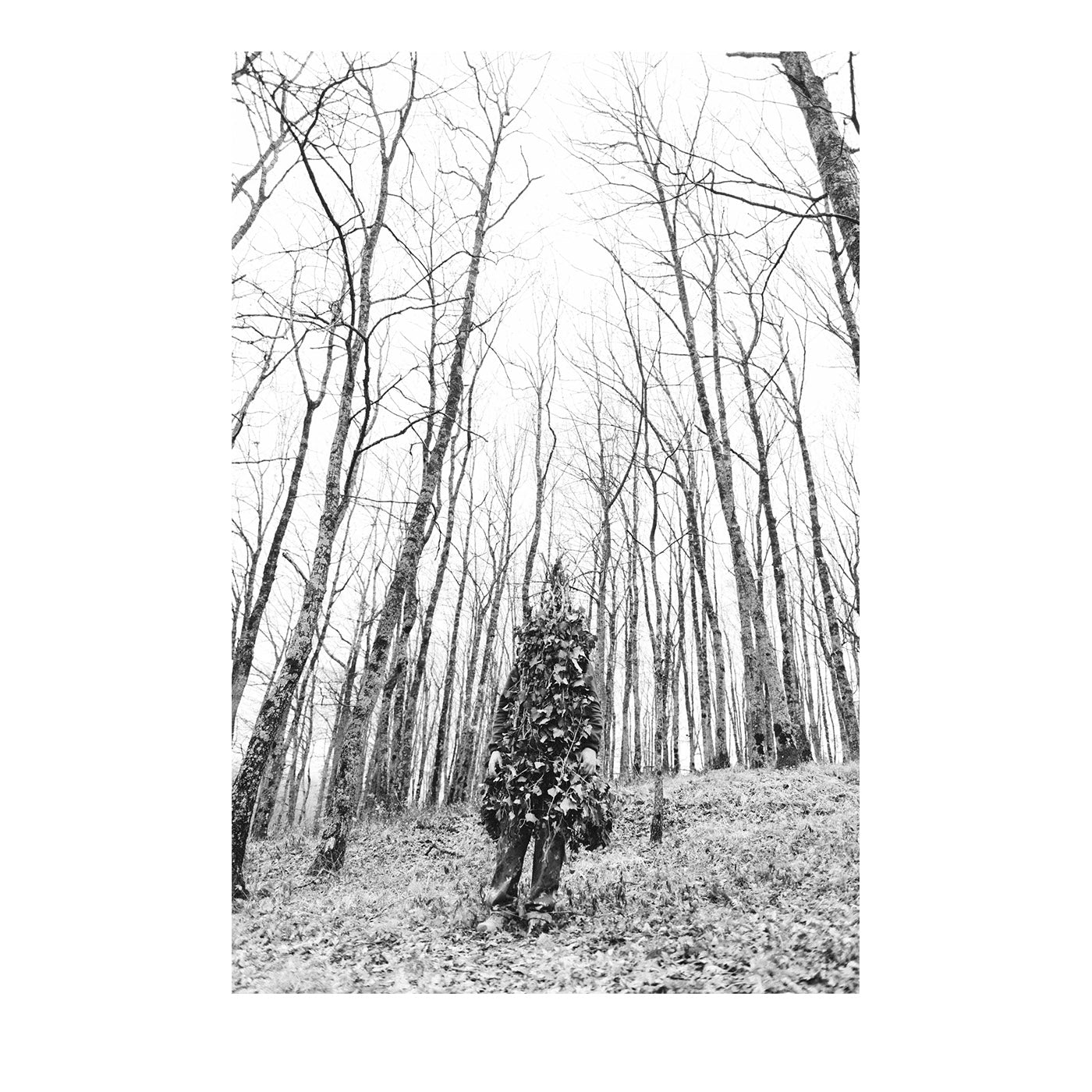 Savage Fool Bear Photography #12 Michela Benaglia | Artemest