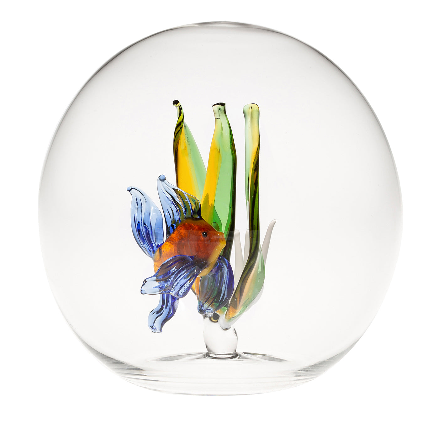 Mini Oasis Fish Sphere Casarialto | Artemest
