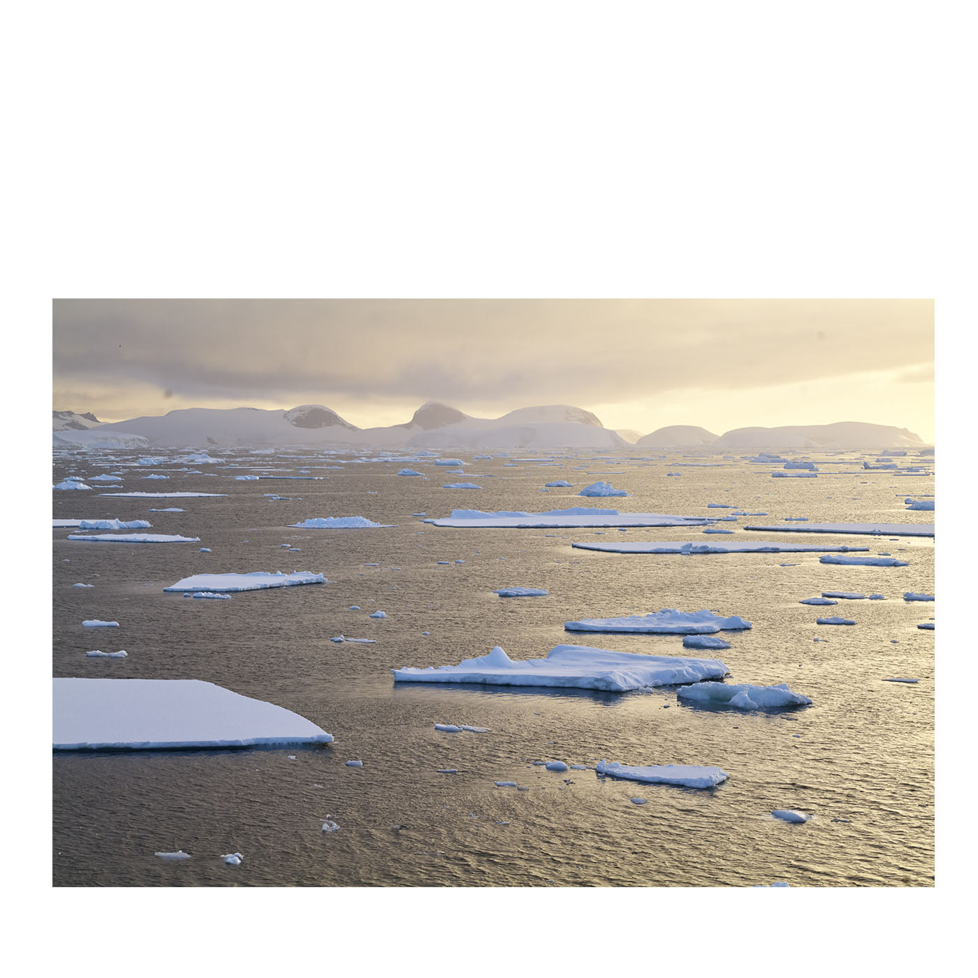 Floating Island - Sunset over Adelaide Island photograph Manfredi ...