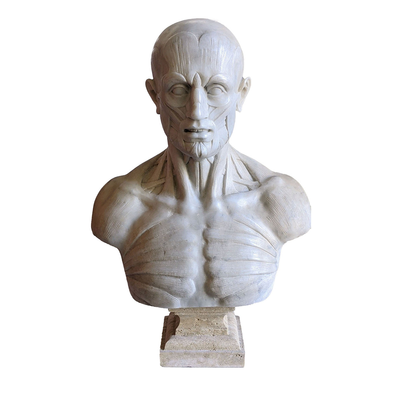 Scorticato Anatomical Marble Bust Sculpture Todini Sculture | Artemest