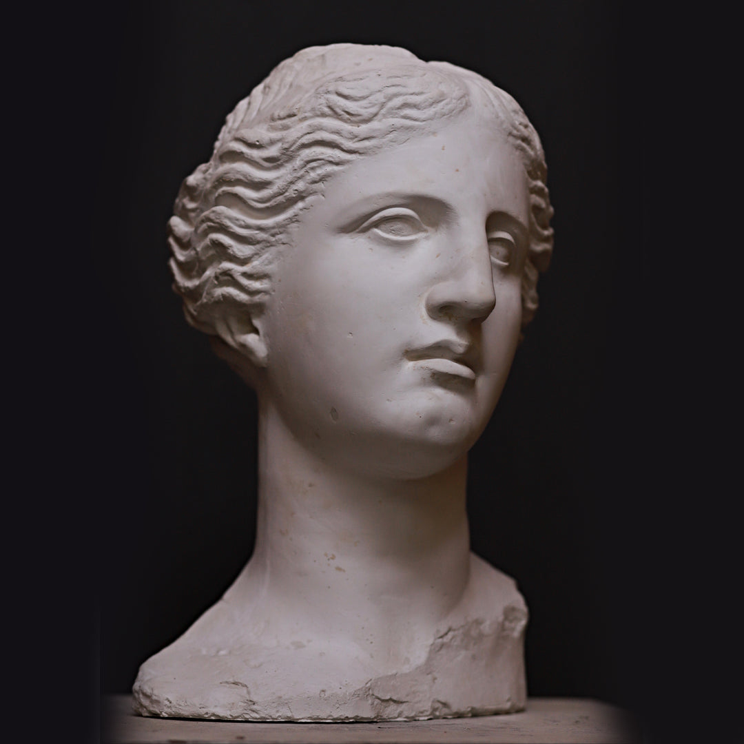 Testa Venere di Milo Sculpture Galleria Romanelli | Artemest