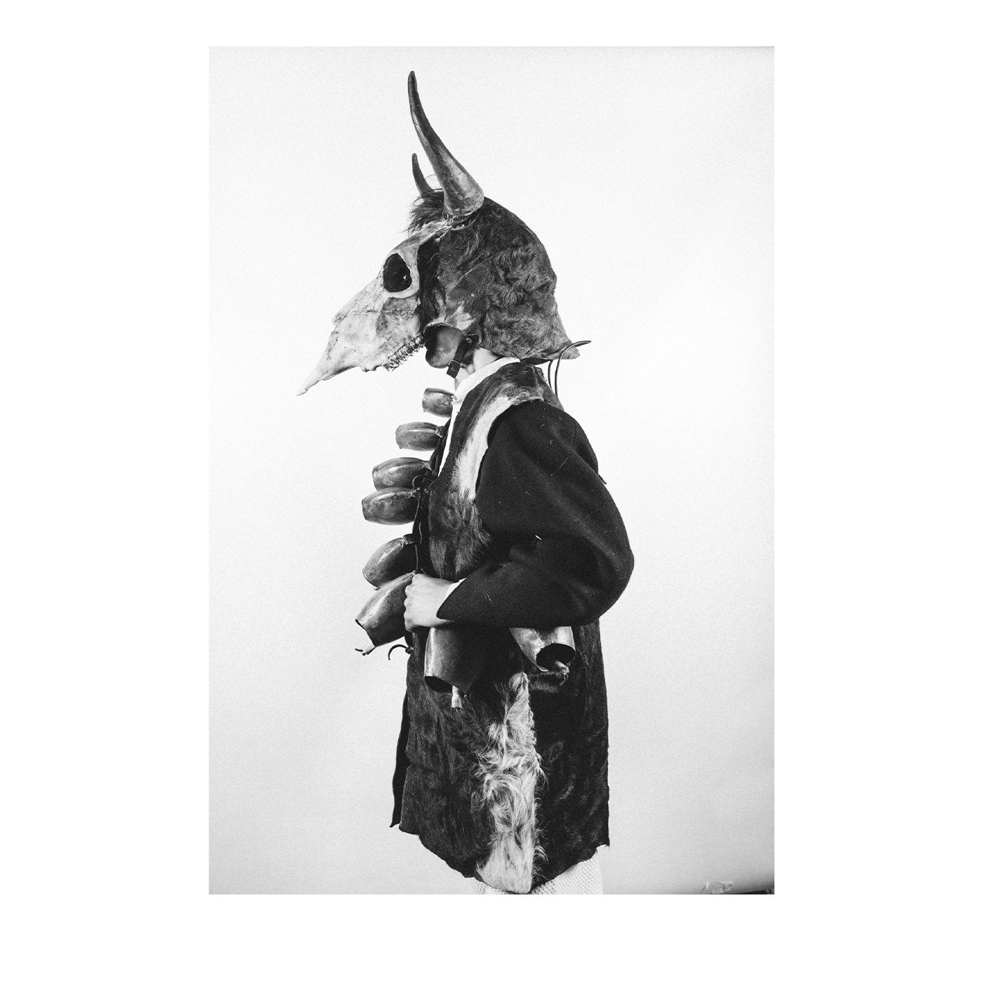 Savage Fool Bear Photography #03 Michela Benaglia | Artemest