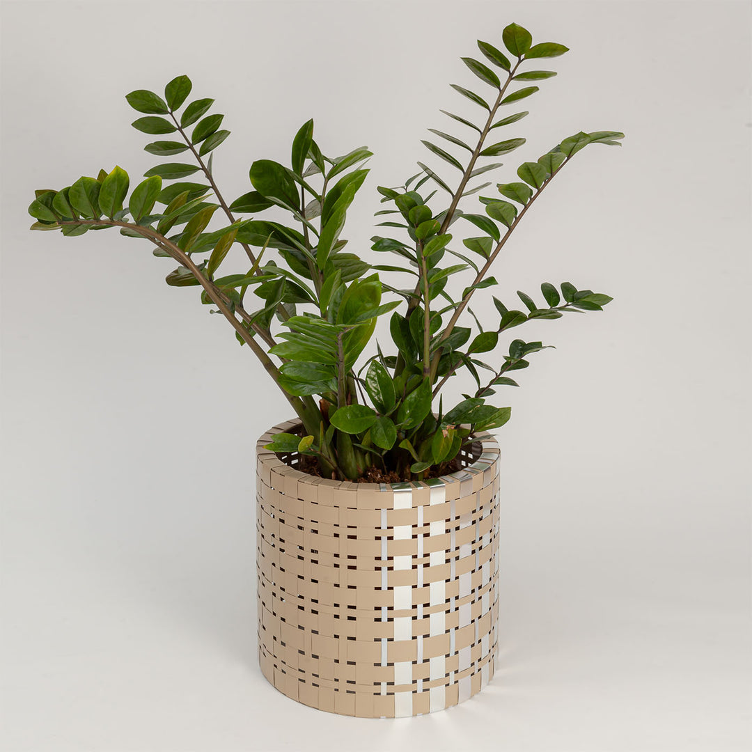 Lux Trabem Golden & Silver Cachepot Splot Design | Artemest