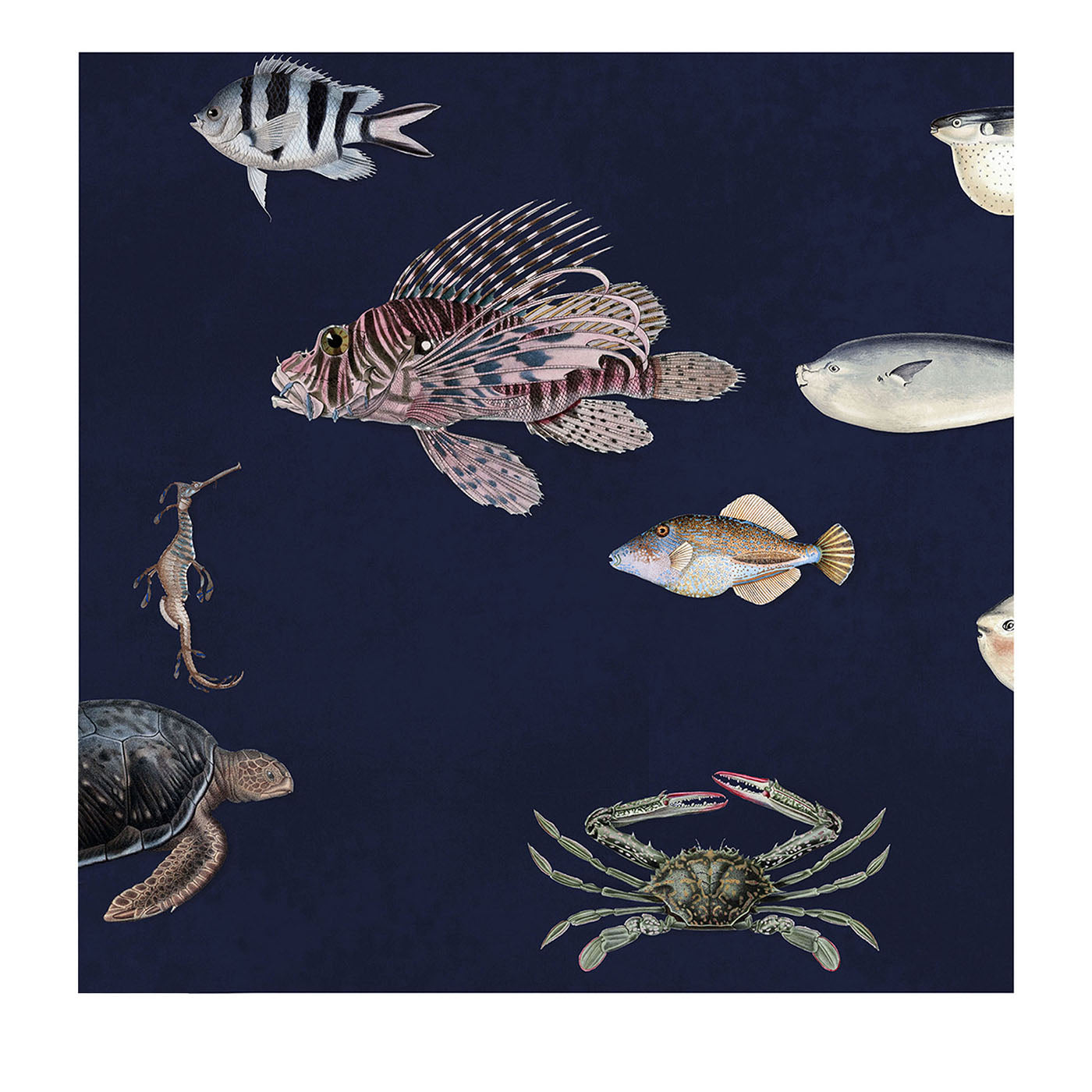 Dark Fish for Feature Wall Wallpaper Wallpapers4Beginners | Artemest