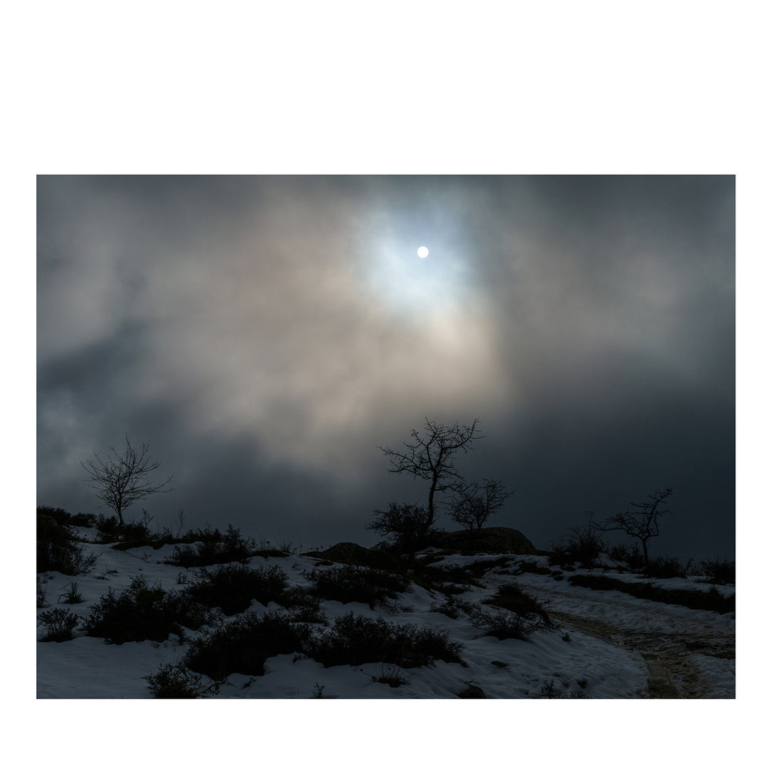 L'Isola MS_08445-1-2 Photograph Massimo Siragusa | Artemest