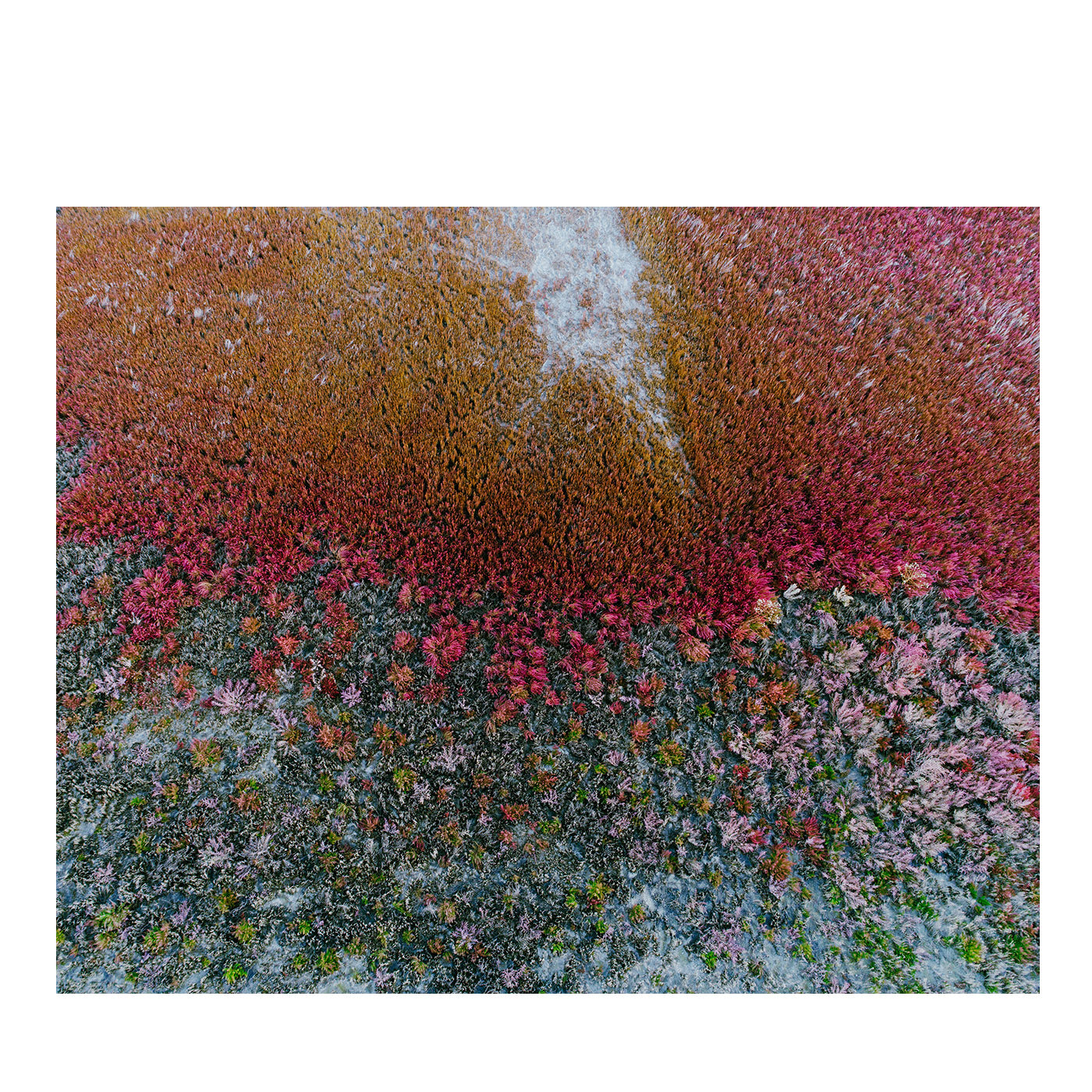 Aralsk #2 Photograph Davide Monteleone | Artemest