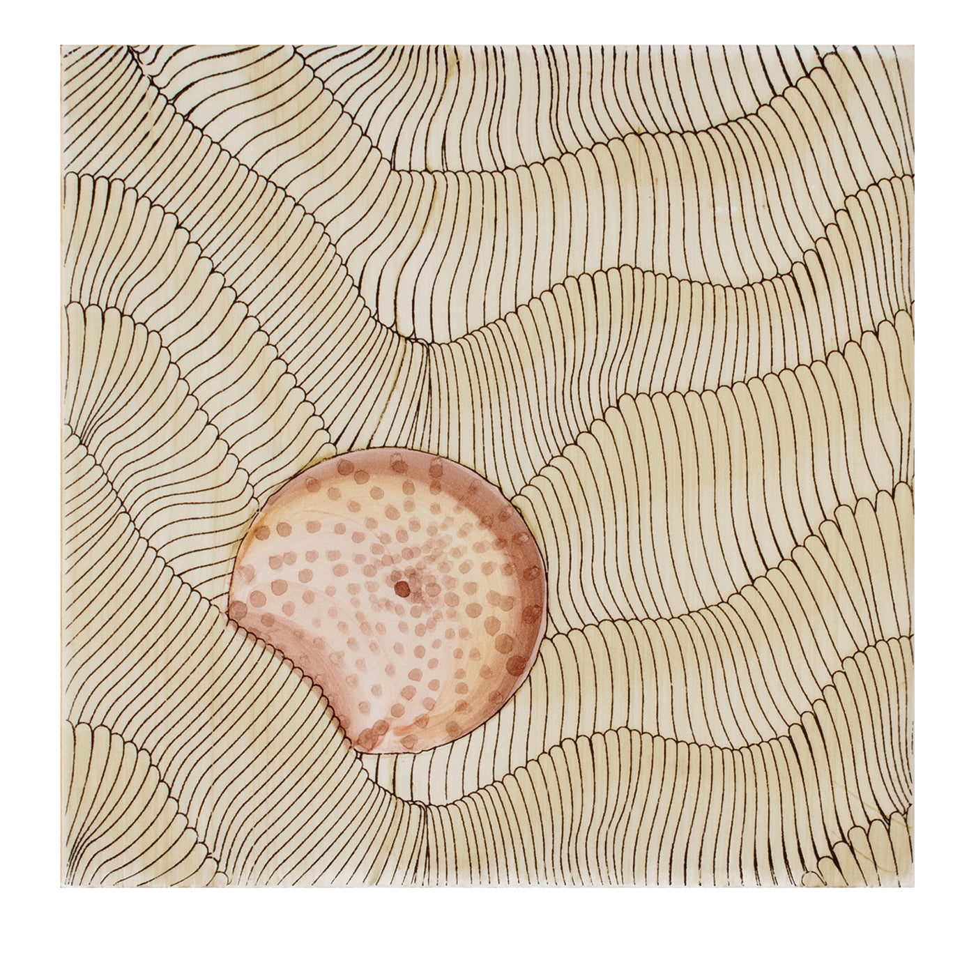 Set of 25 Thalassa Avana Shell #B Tiles Giovanni De Maio | Artemest