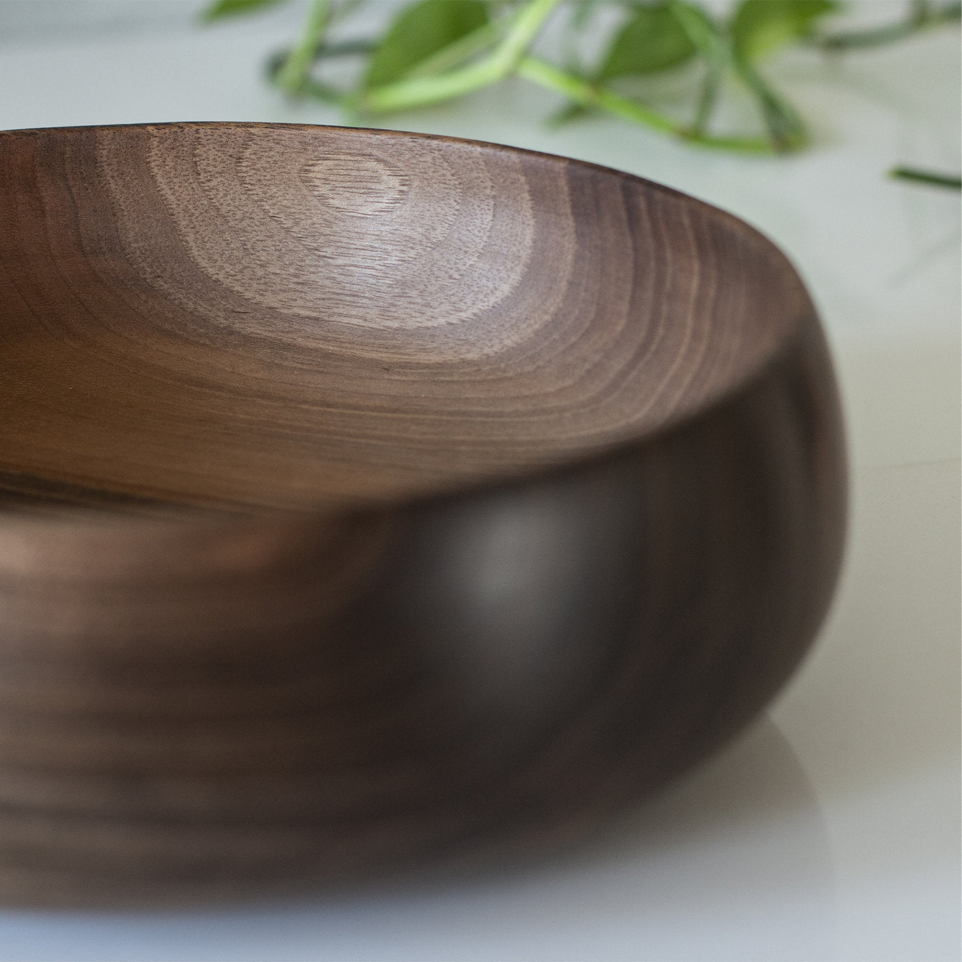 Walnut Bowl #1 Brown Centerpiece Bowl Picta | Artemest