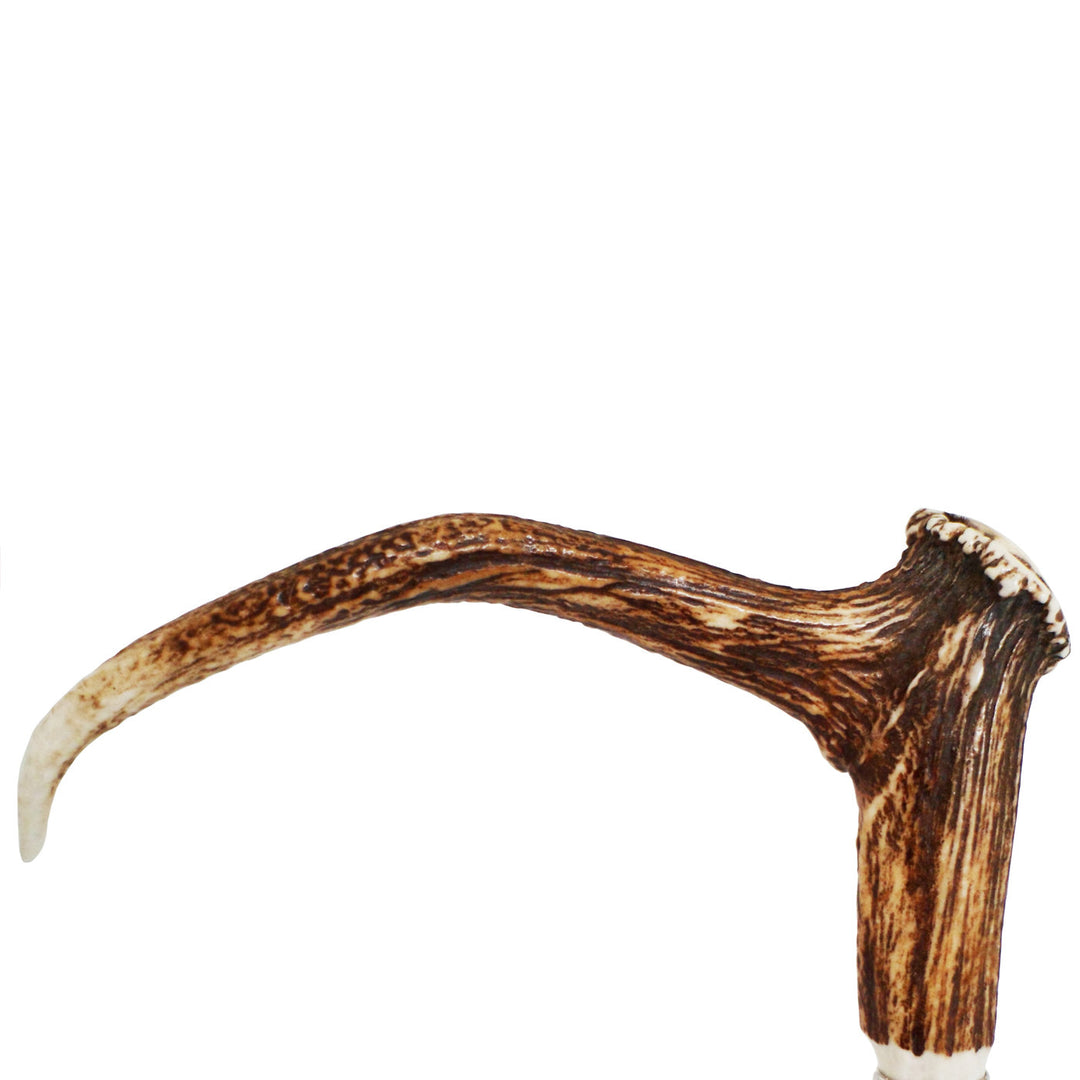 Corno di Cervo Cane Pasotti | Artemest