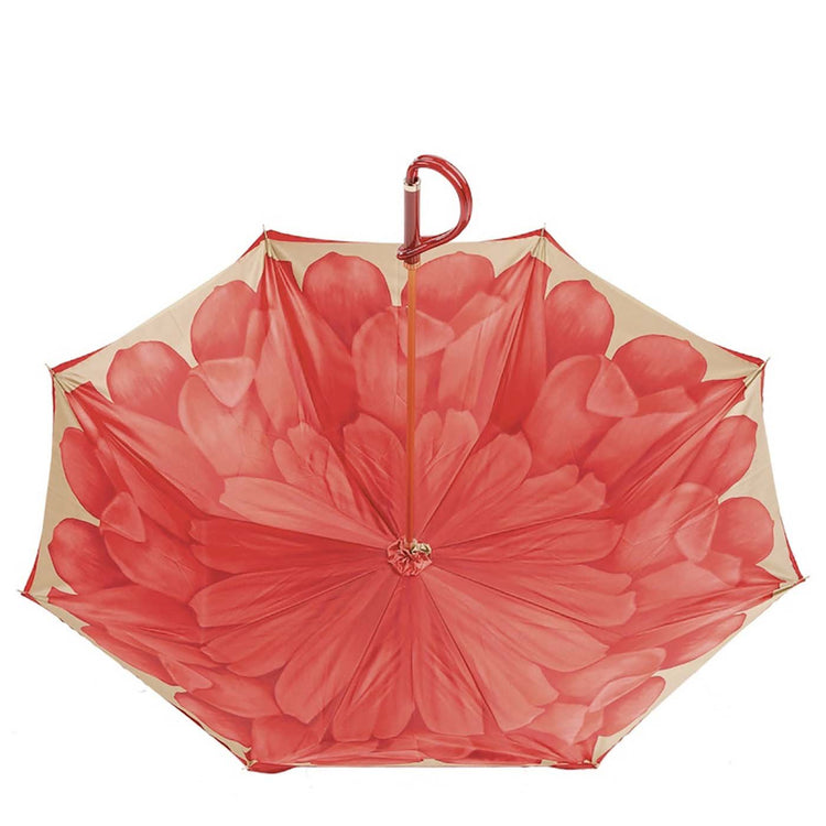 Red Dahlia Umbrella Pasotti | Artemest