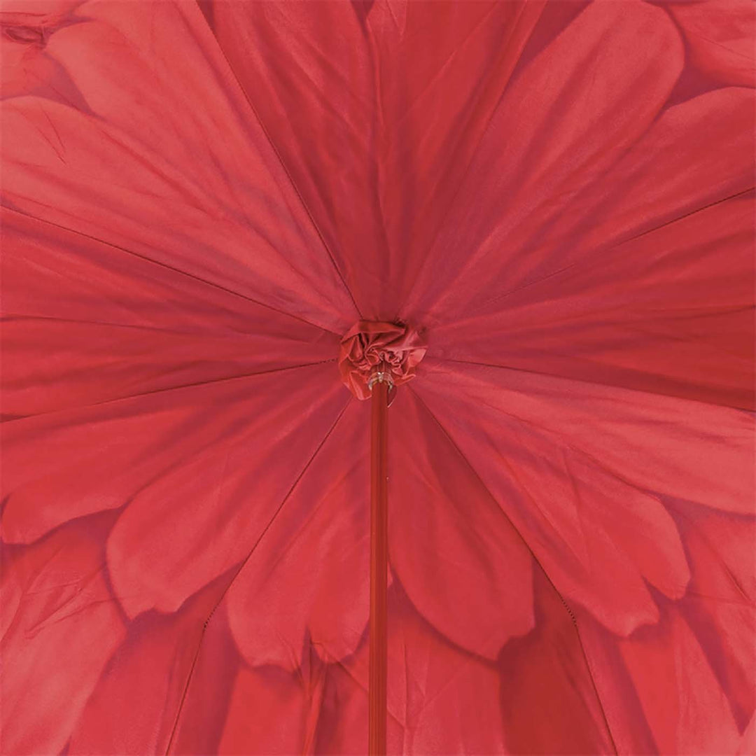 Red Dahlia Umbrella Pasotti | Artemest