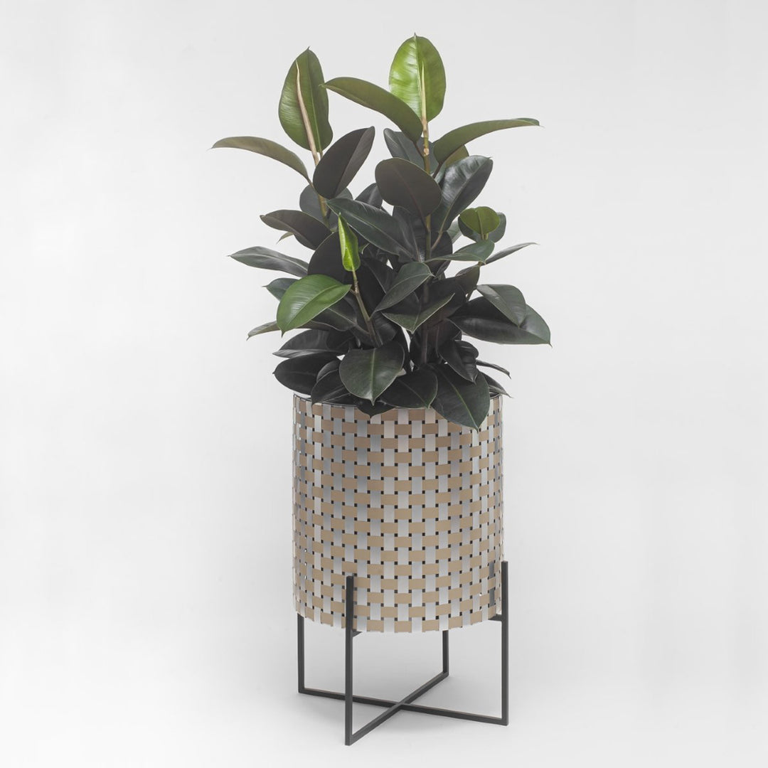 Nexum Optical 30 Gold Cachepot Splot Design | Artemest