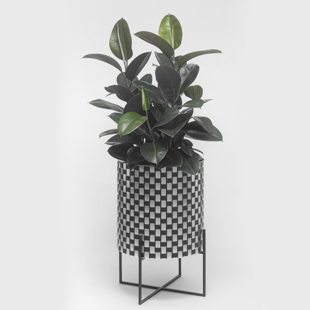 Nexum Optical 30 Black Cachepot Splot Design | Artemest