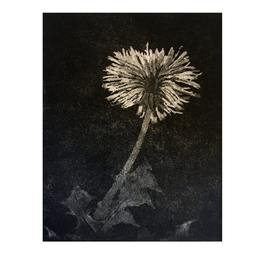 Angus Hampel - Artist | Artemest