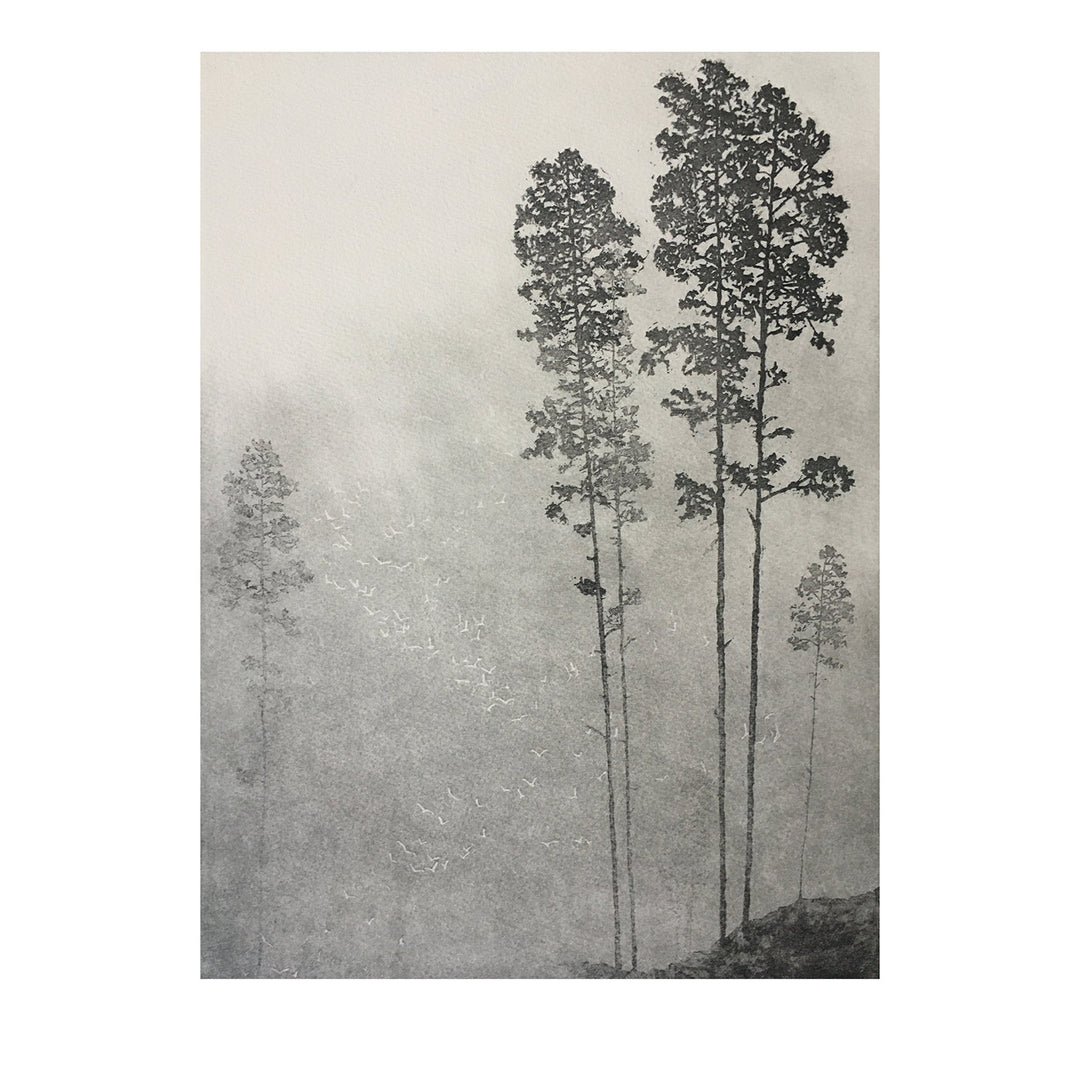 Angus Hampel - Artist | Artemest