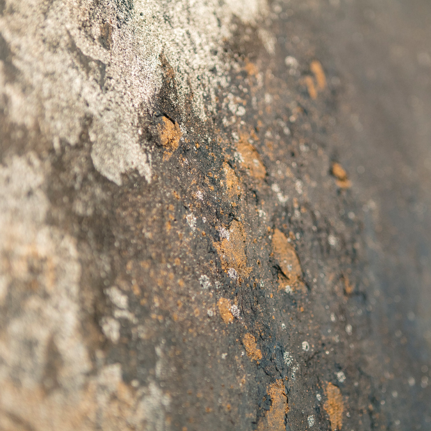 Midnight Moon Dust Hand Painted Wallpaper Fabscarte | Artemest