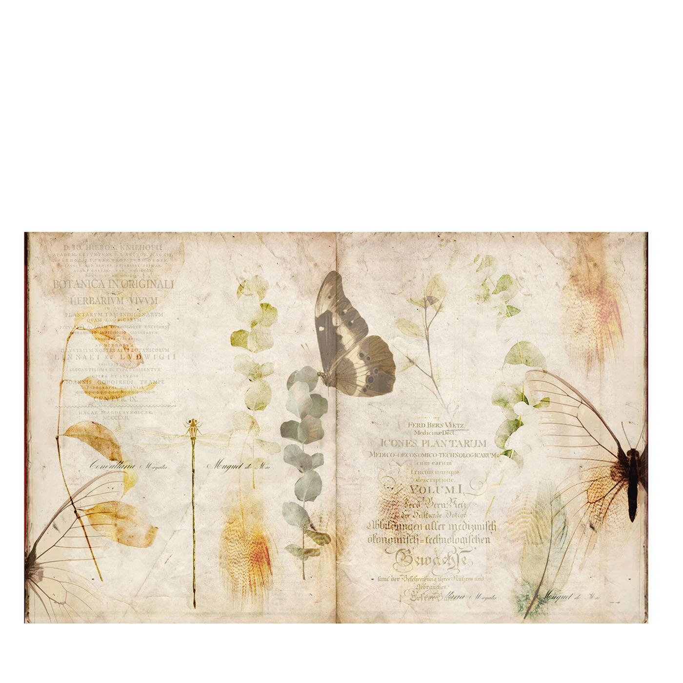 Nature Book Botanika Wallpaper Officinarkitettura | Artemest
