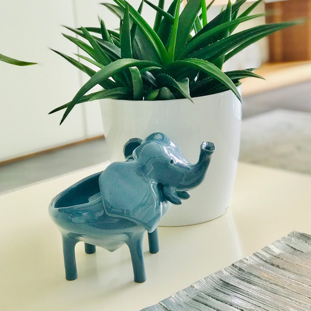 Medium Elephant Bowl Freaklab | Artemest