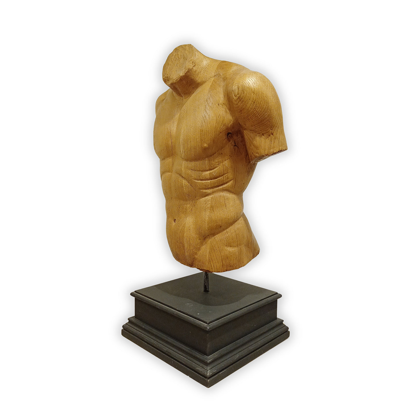 Classic Male Torso Sculpture Castorina 1895 | Artemest