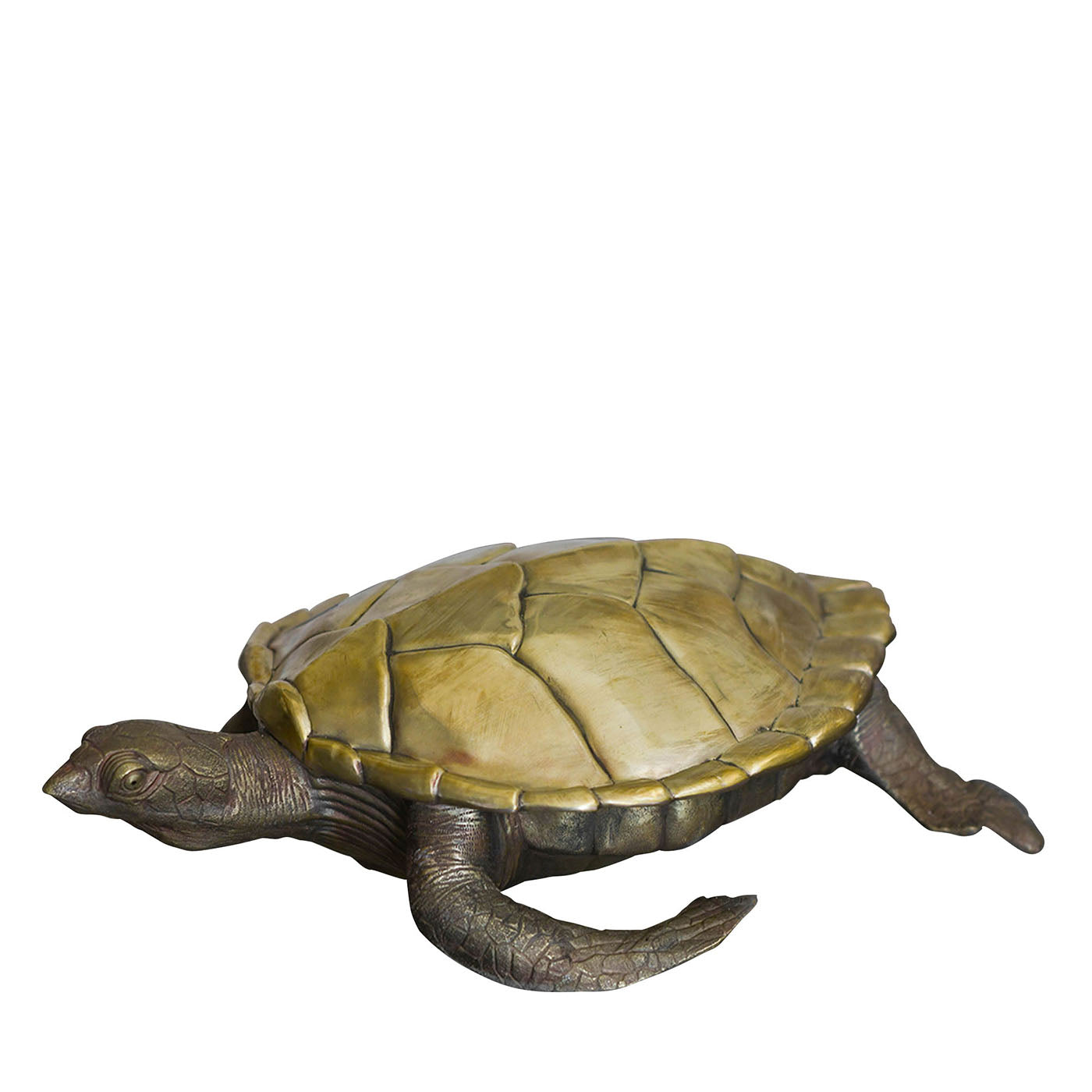 Turtle Brass Box Molto Collectibles | Artemest
